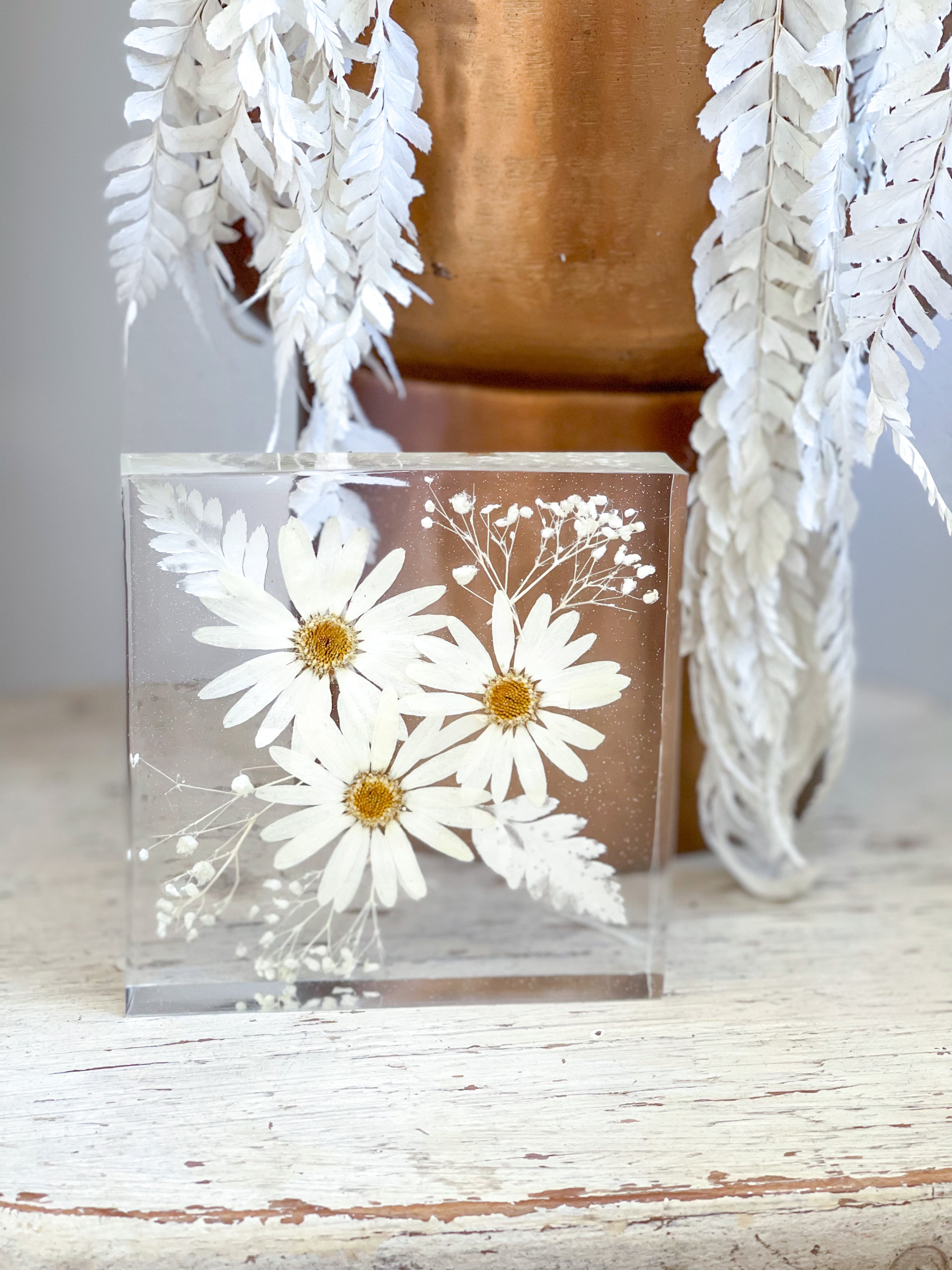 Fresh as a Daisy – Forever Petal